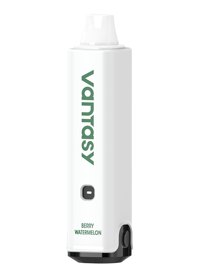 Vantasy Starter Kit | Pod Systems | Best Vapes Canada